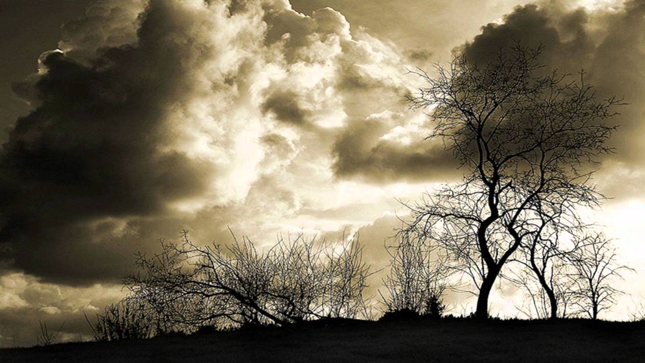 The Flashbulb - The Trees In Russia - YouTube
