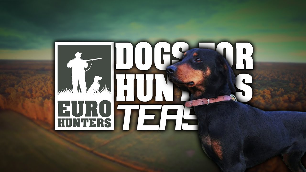 Euro Hunters - Dogs for Hunters - Teaser - YouTube