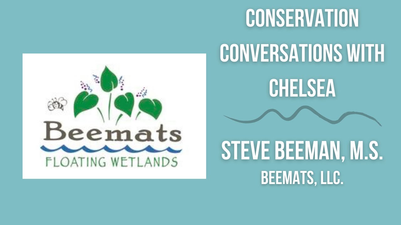 Steve Beeman- Conservation Conversations with Chelsea - YouTube