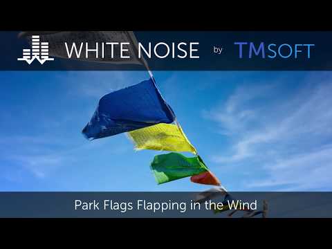 Park Flags Flapping in the Wind 10 Hour Sleep Sound - Black Screen