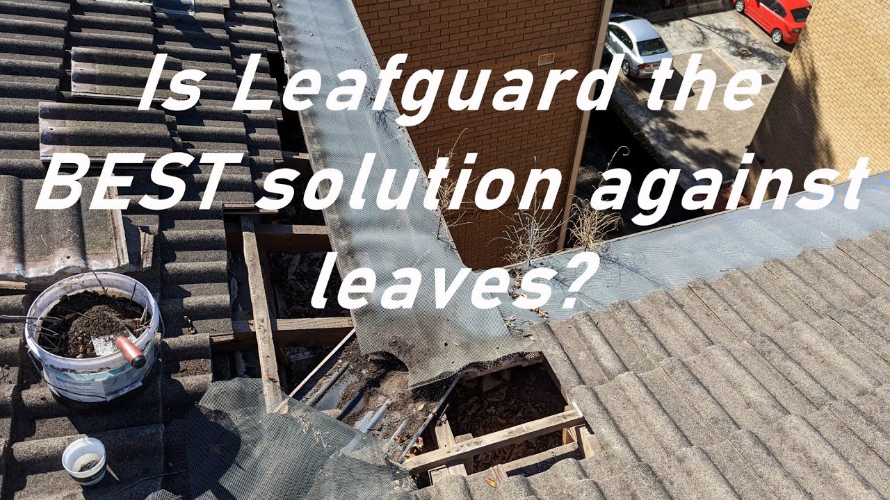 Is leafguard the best solution against leaves - YouTube