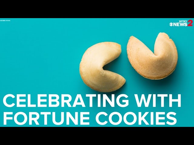 Funny Fortune Cookies Quotes Funny Fortune Cookie Sayings Funny