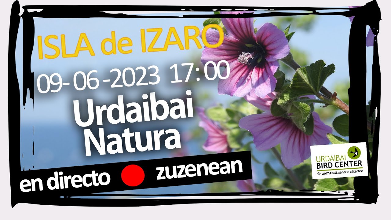 Isla de Izaro /Izaro Irla / Izaro Island · PROGRAMA🔴 SEMANAL URDAIBAI ...