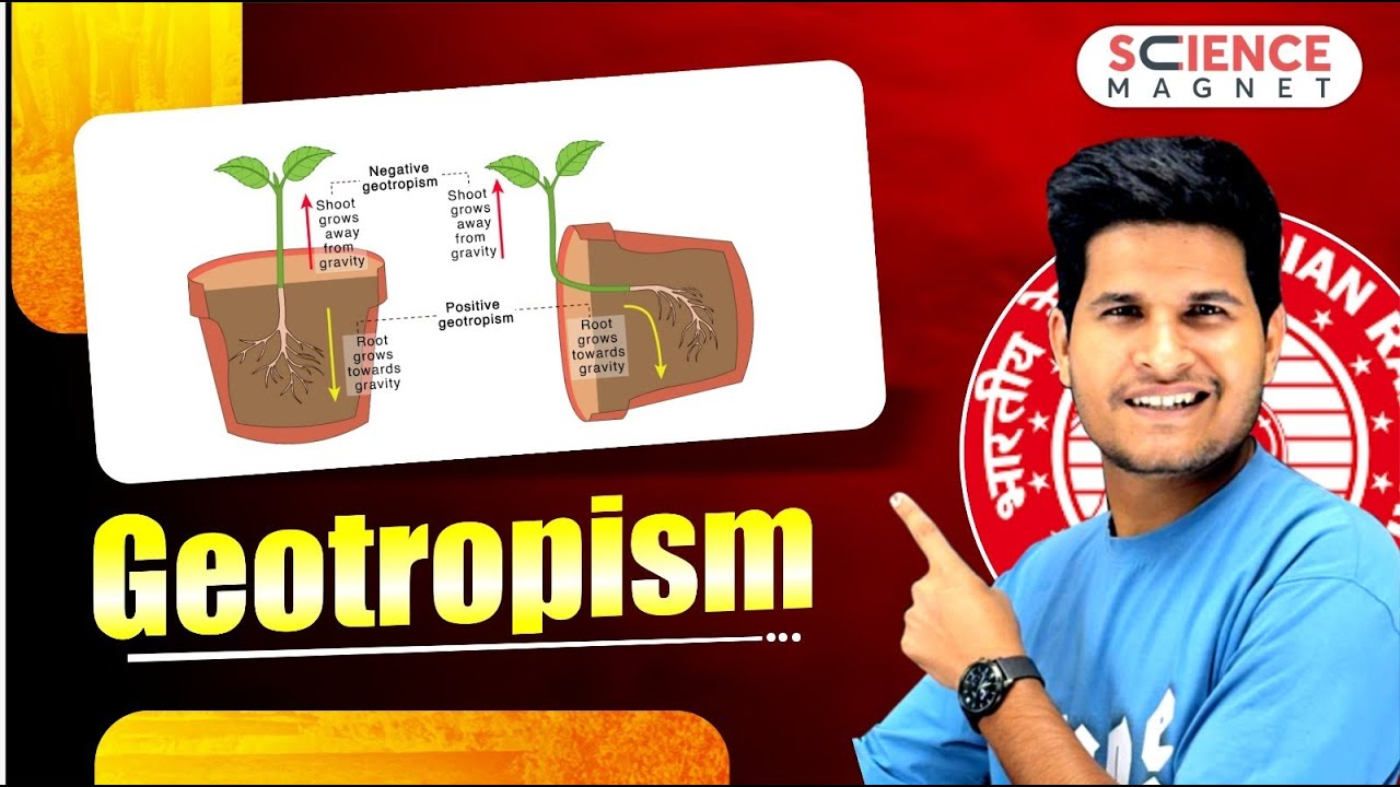 About Geotropism #sciencebyneerajjangid - YouTube