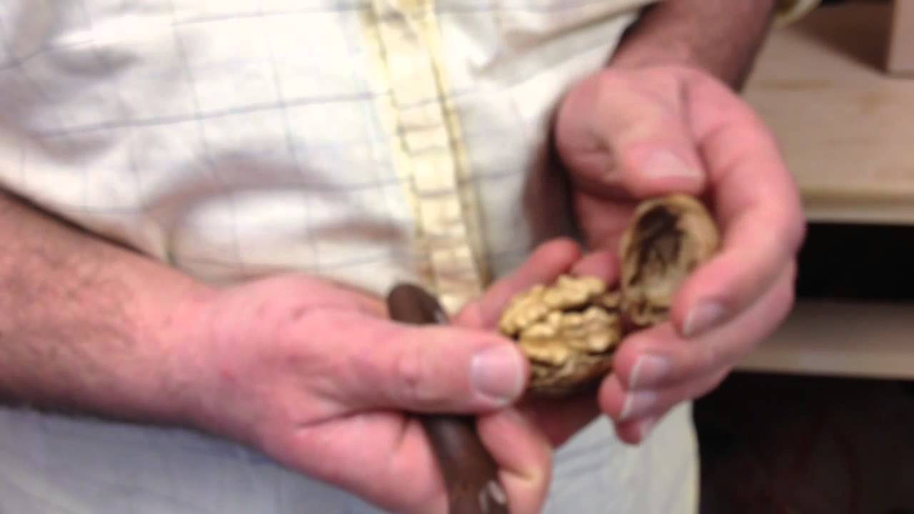 How I open a walnut - YouTube