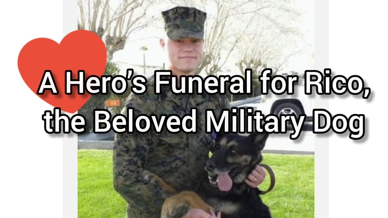 A Hero's Funeral For The Beloved Military Dog - YouTube