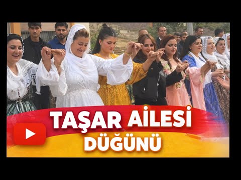 Taşar Ailesi Düğünü | Halaylar, Eğlence ve Muhteşem Anlar 🎉