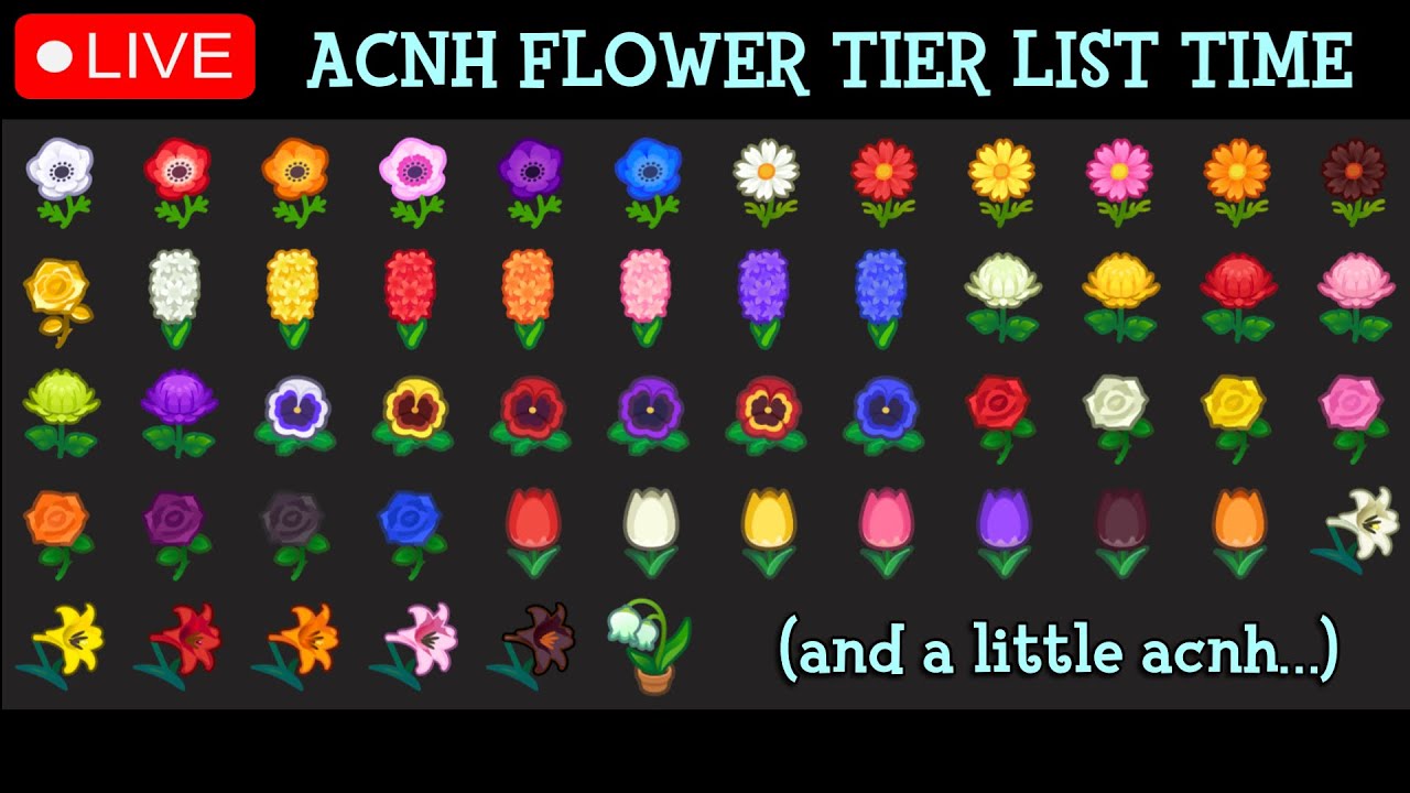 Making an ACNH Flower Tier List with YOU!!! | Animal Crossing New ...