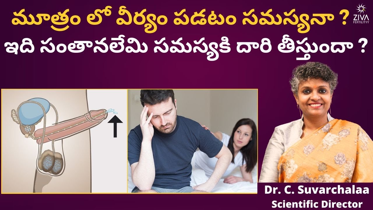 మూత్రంలో వీర్యం || Men With Retrograde Ejaculation || Fertility || Dry ...