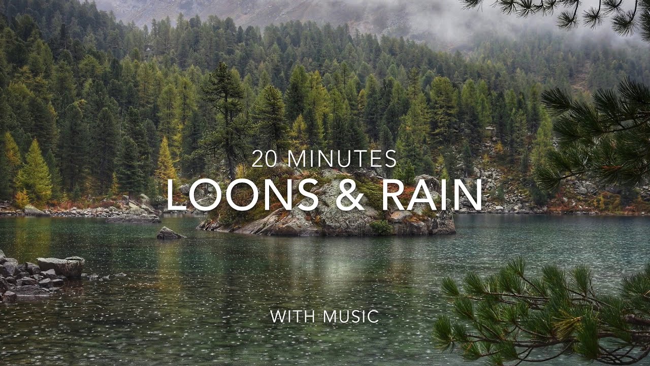 Light Rain & LOON call - 20 Minutes- *With Relaxing Music* - YouTube