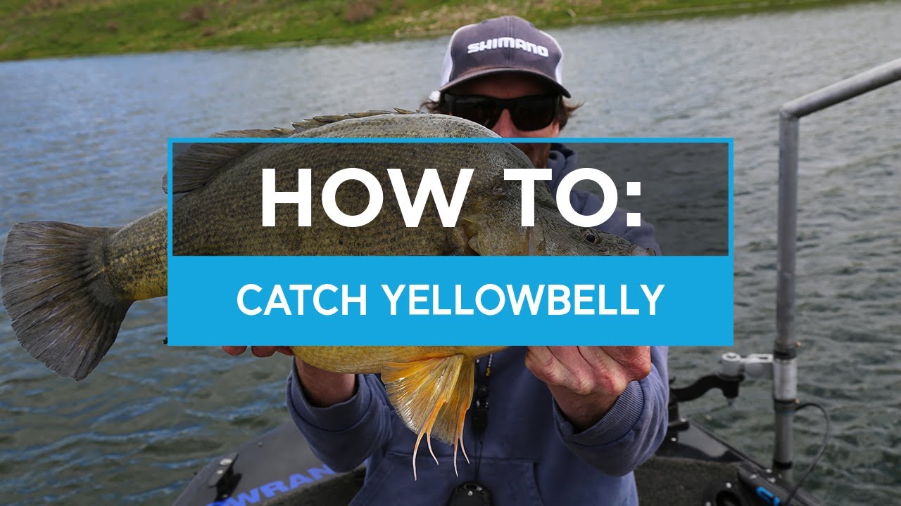 HOW TO: Catch Yellowbelly (Golden Perch) at Lake Windamere - YouTube