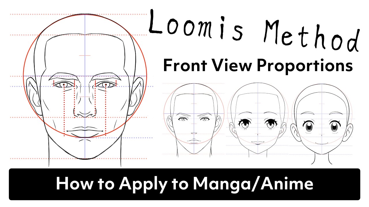 Loomis Method - Proportions of the Head Explained - Front View - YouTube