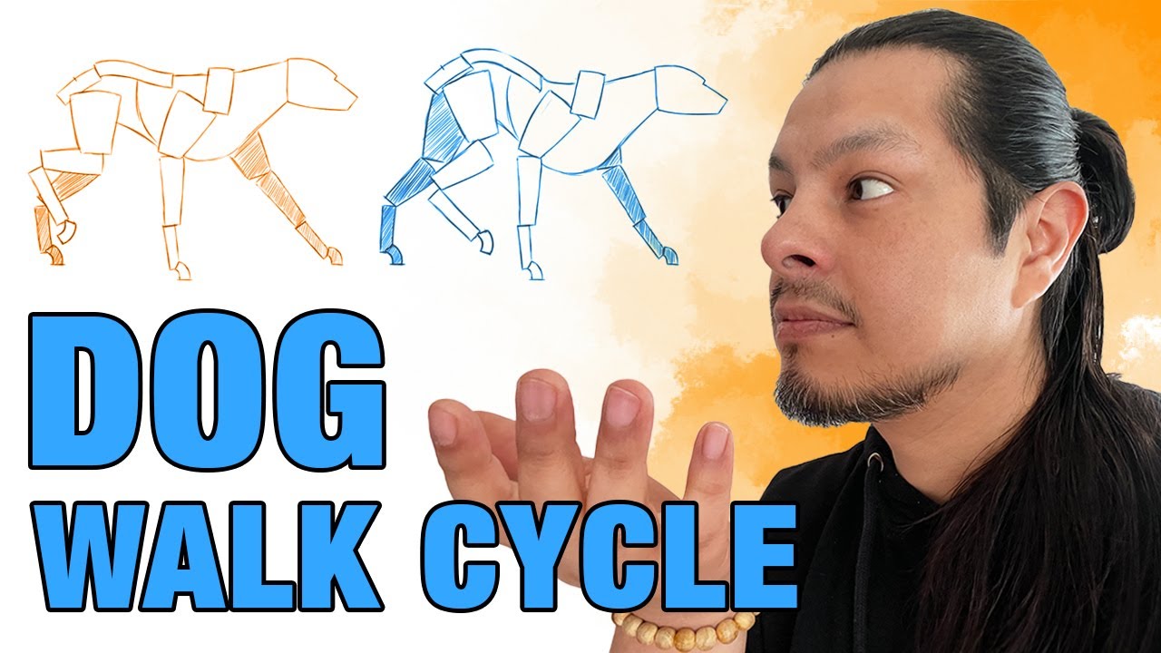2D Dog Walk Cycle (Structure) - YouTube