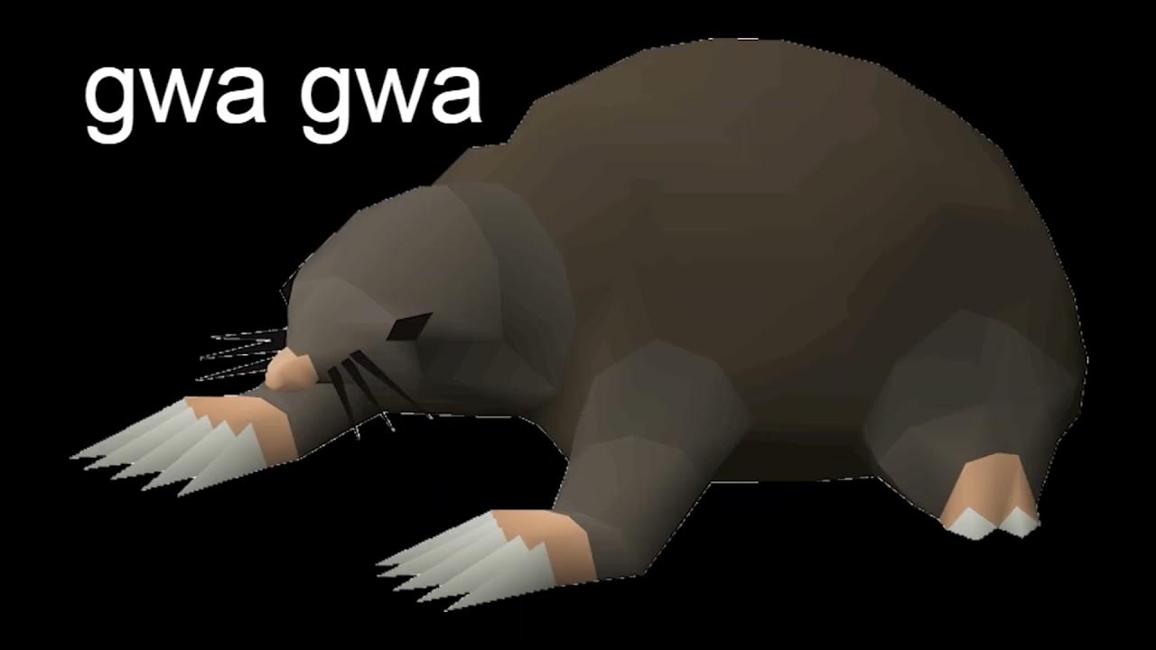 gwa gwa song - YouTube