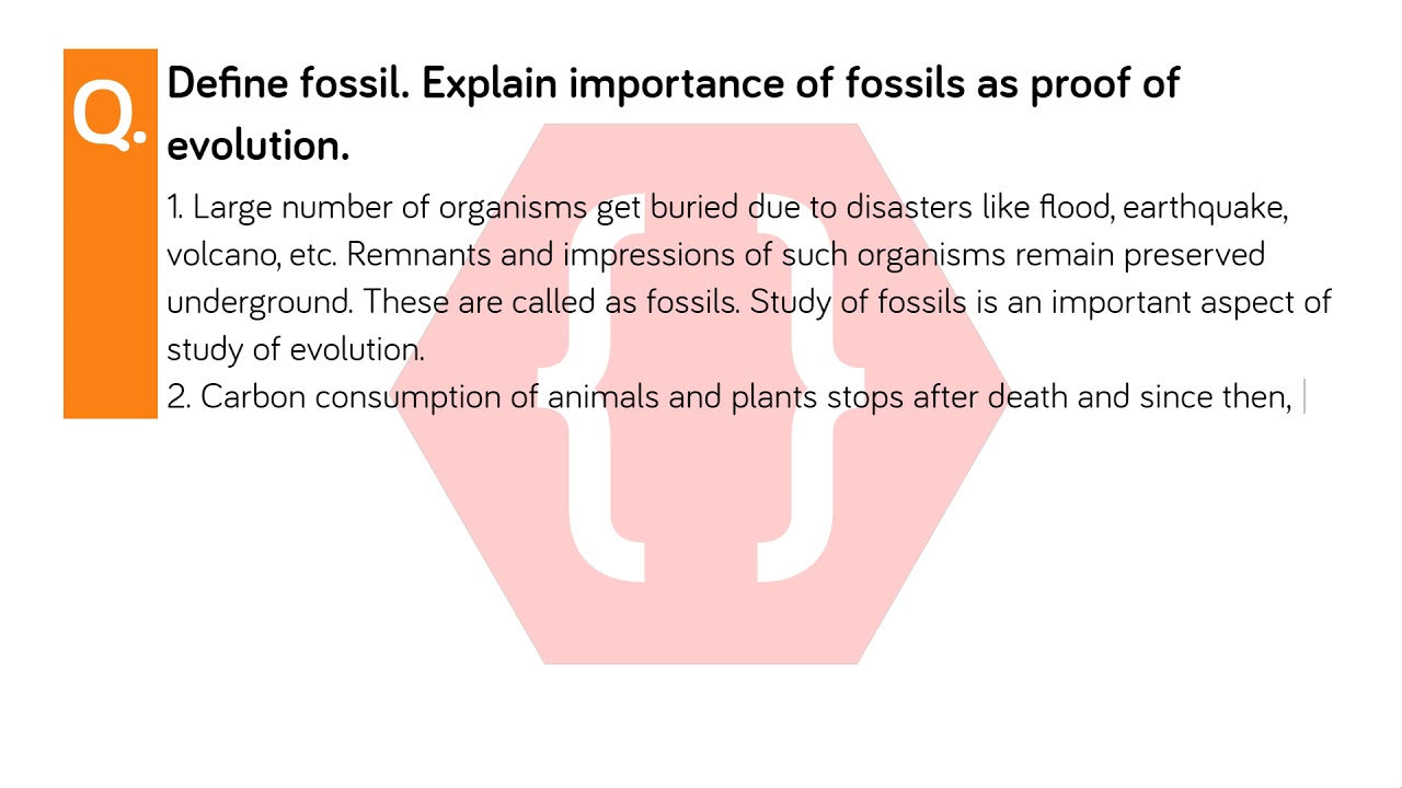 Define Fossil