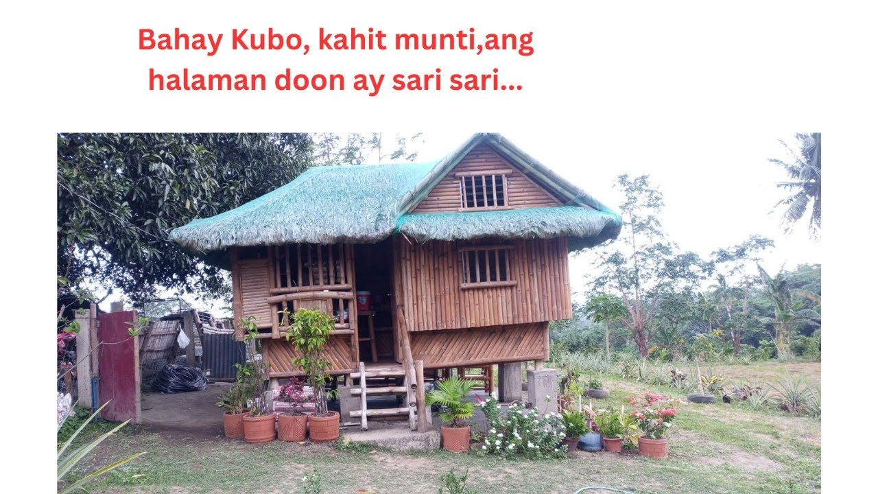 Balik Probinsya 1.. Bahay Kubo, Anong mga Halaman doon? - YouTube