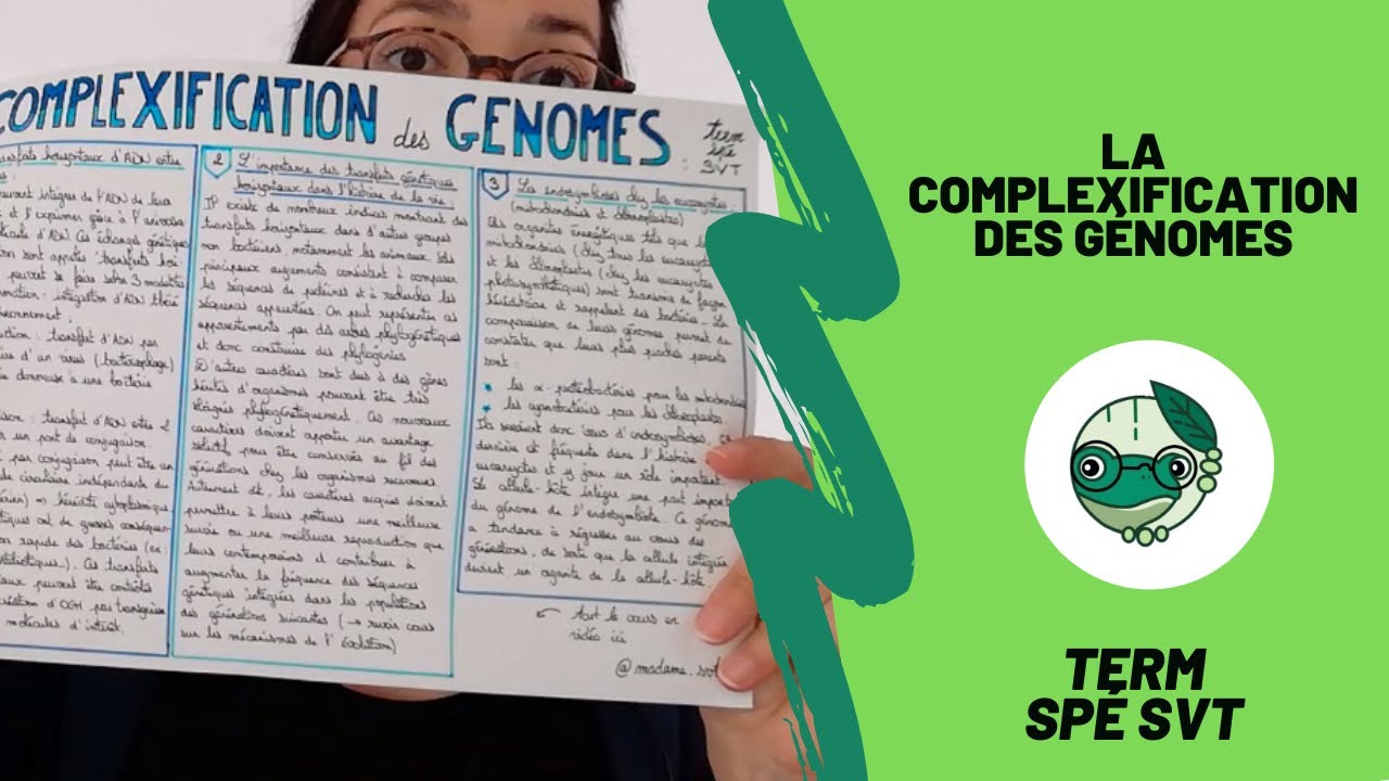 La complexification des génomes - Term spécialité SVT - Madame SVT ...