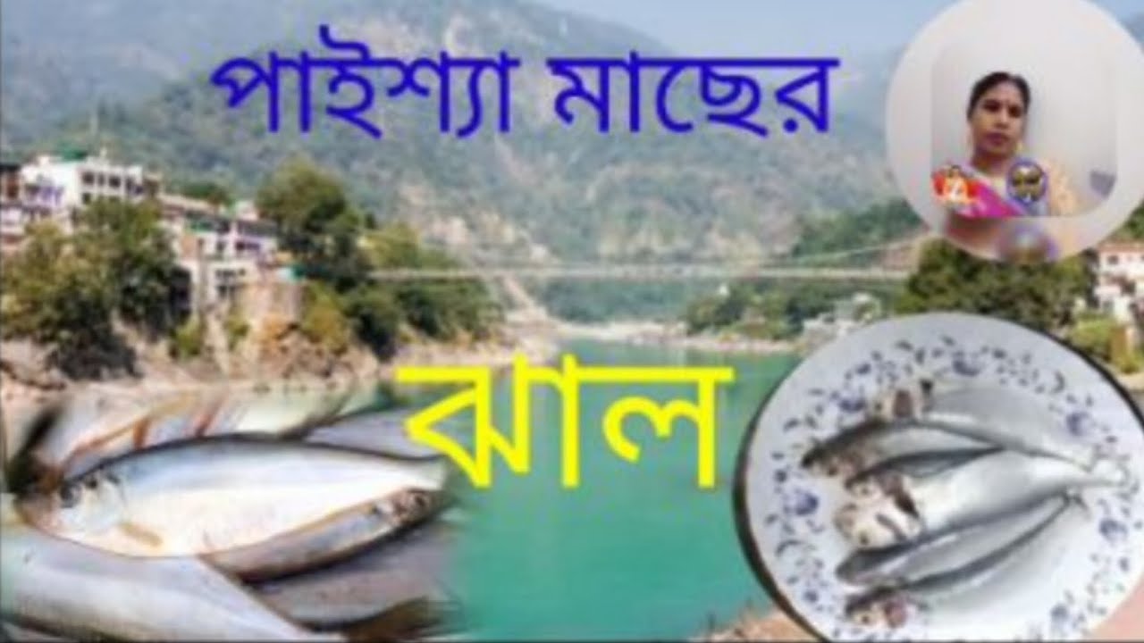 পাইসা মাছের ঝাল Paisa fish jhal #videos - YouTube
