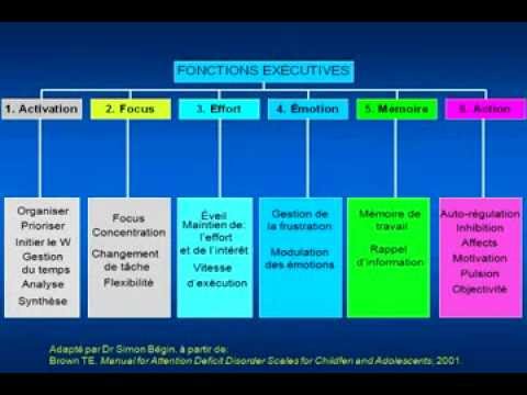 TDAH Neurosciences - YouTube