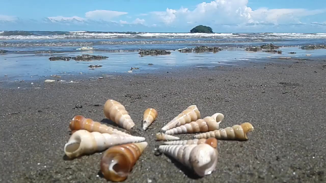 Beach Shells | Roxas City - YouTube