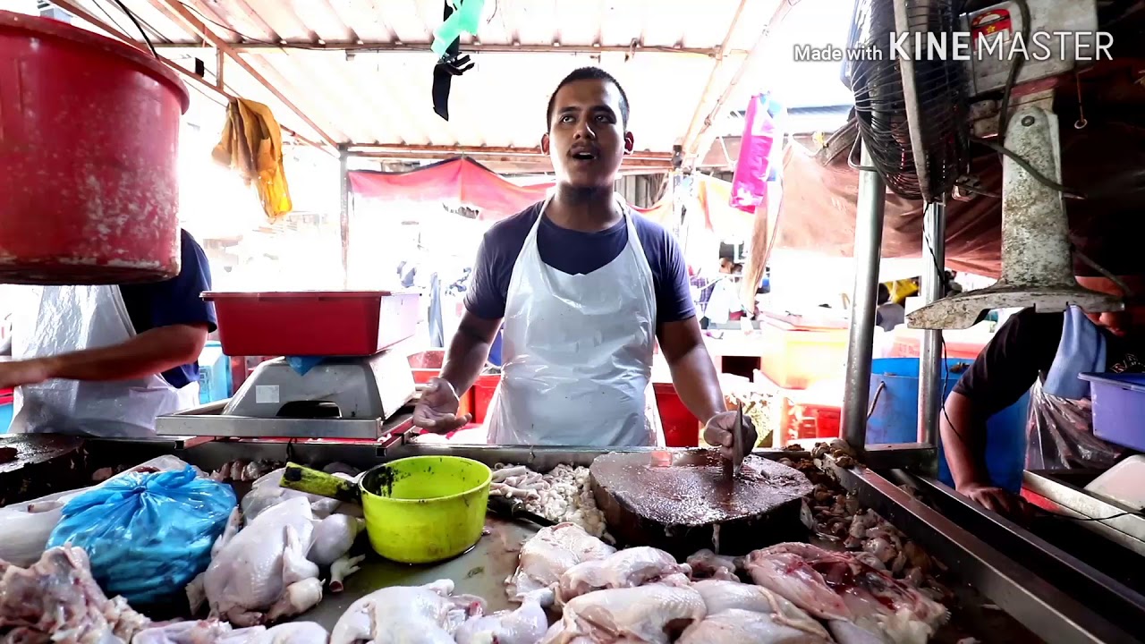 Kenapa harga ayam mahal - YouTube