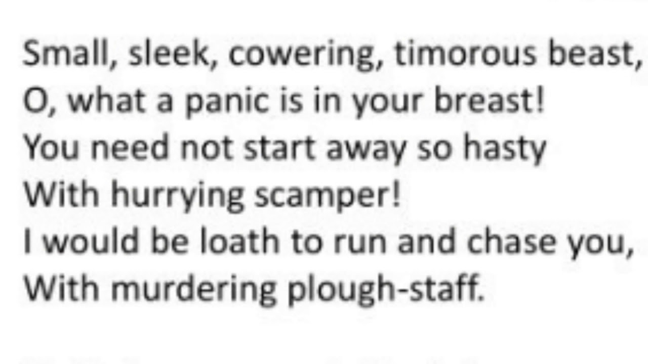 Robert Burns, To A Mouse Explanation and TPCASTT - YouTube