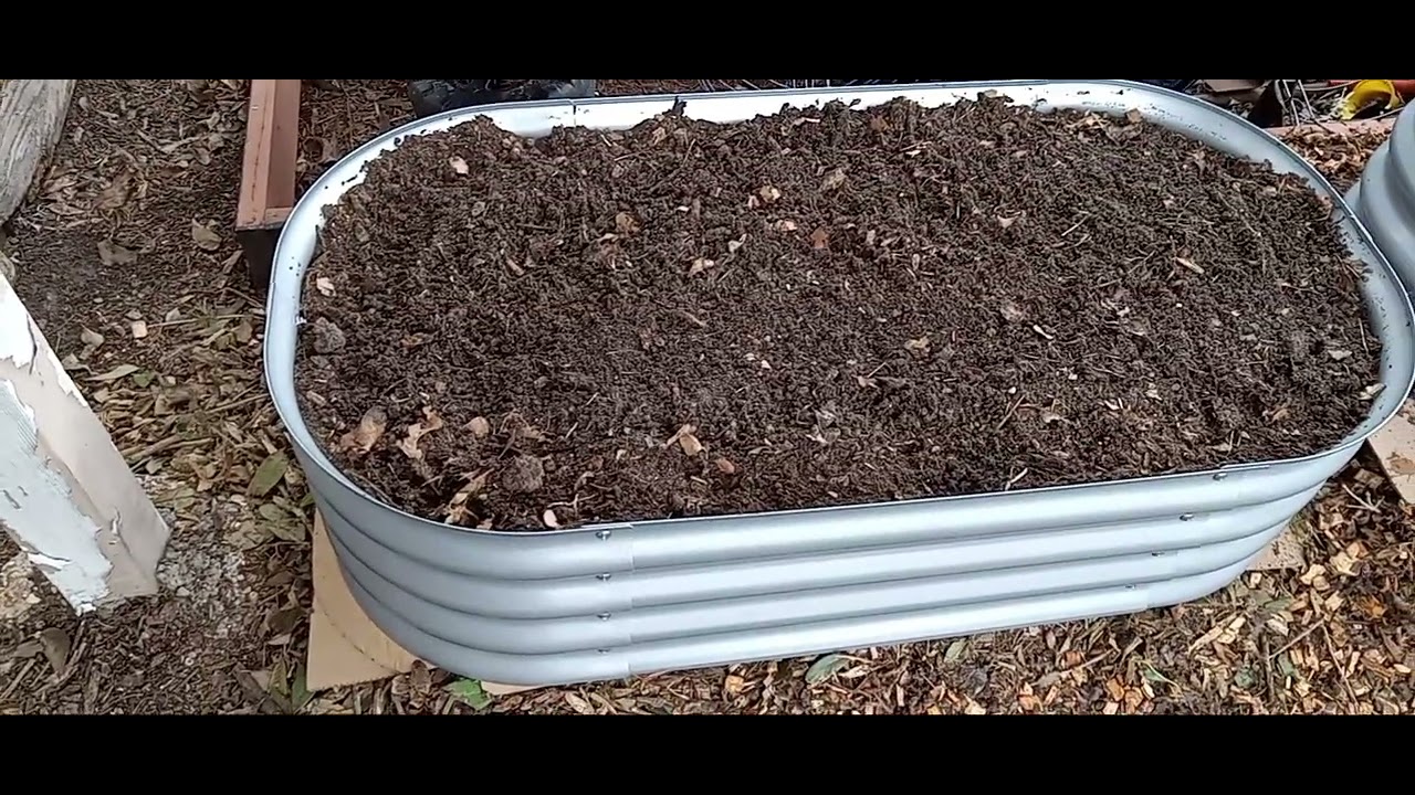 WATCH HOW I PREPARE SOIL WITH CARDBOARD - YouTube