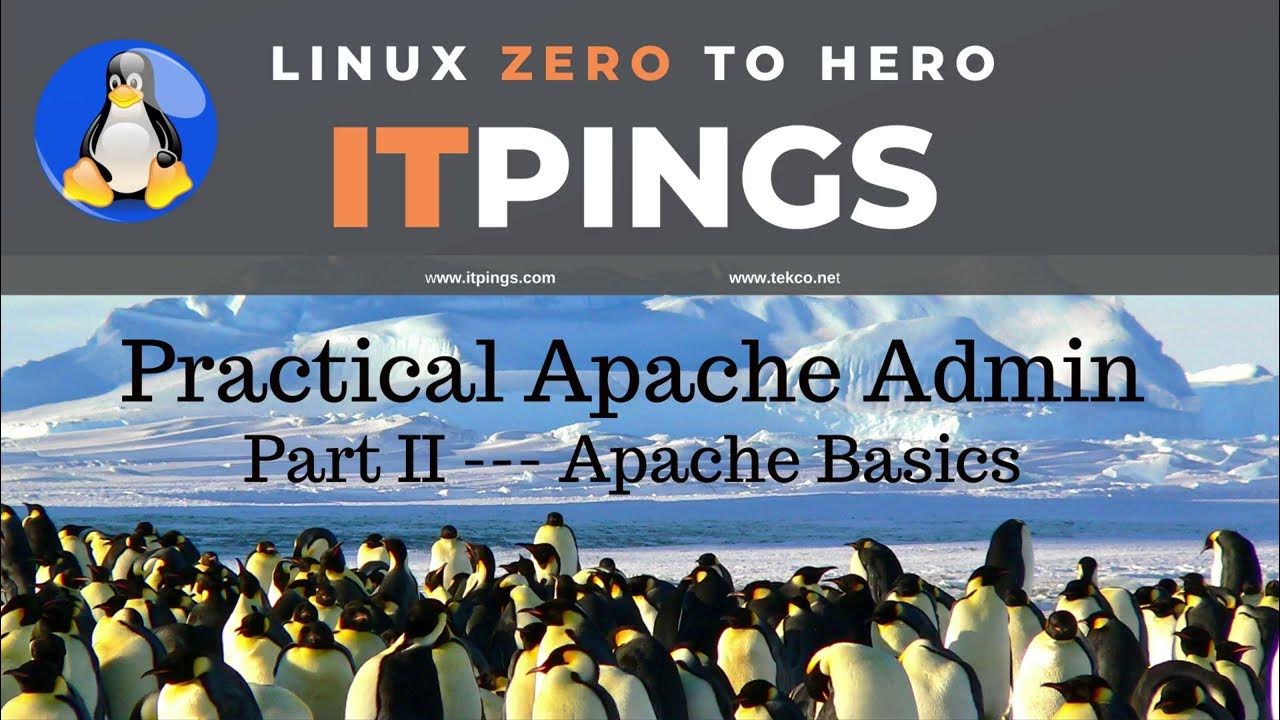Practical Apache Admin Part 2 | Apache Basics | Fundamental of apache | @tekco77 @LinuxKing ...