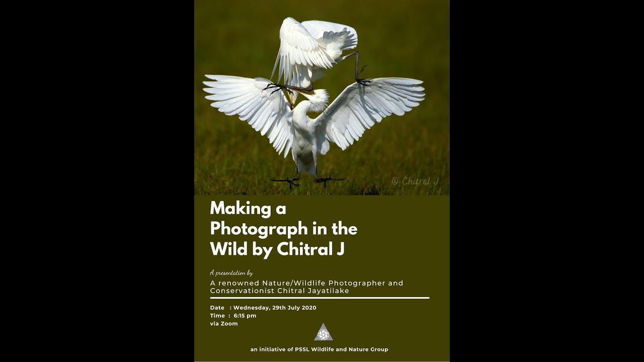 Making pictures in the wild by Chitral Jayatilake - YouTube