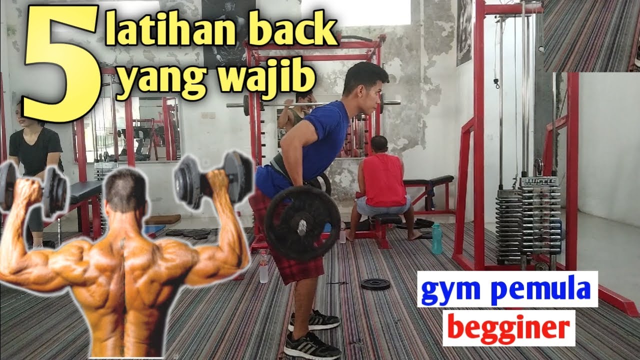 Latihan Back yang wajib di lakukan di gym - YouTube