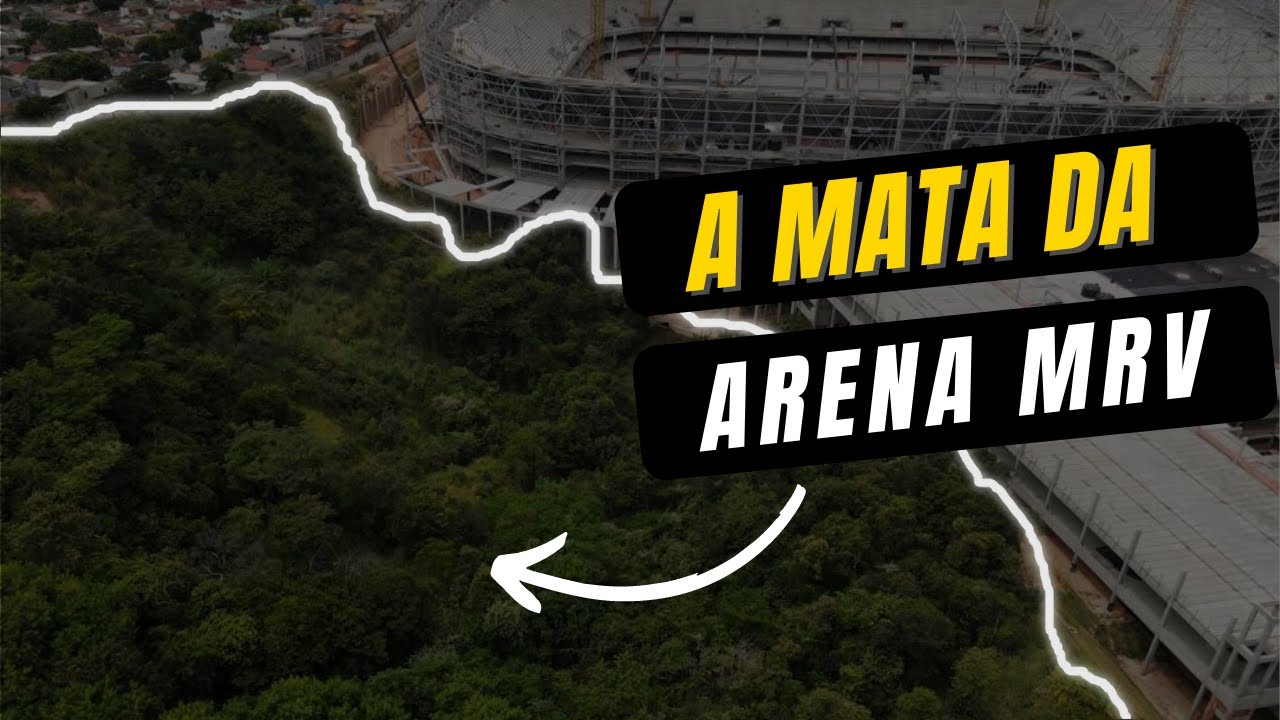 VEJA IMAGENS DA MATA AO LADO DA ARENA MRV - YouTube