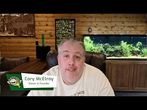 Top 10 Best Selling Fish (Breeders listen up)