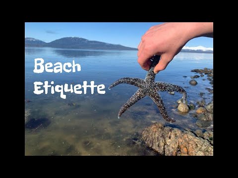 Beach Etiquette on Southeast Alaskan Beaches - YouTube