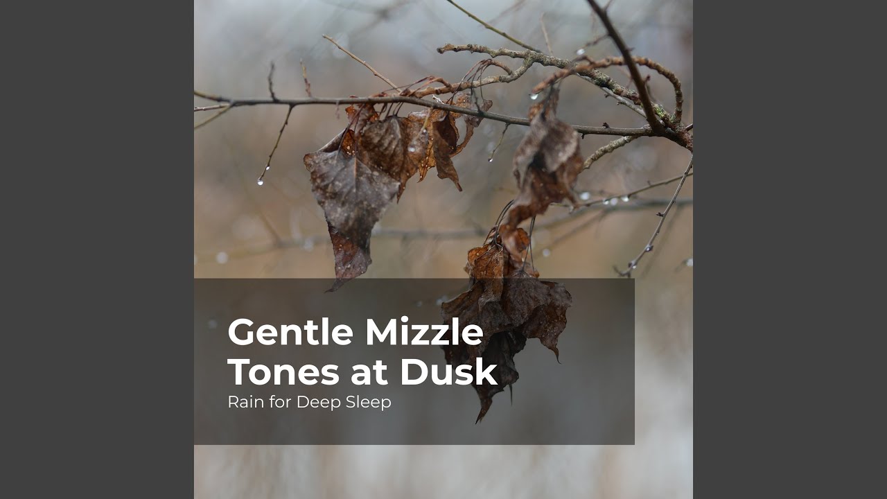 Twilight Teeming Rain - YouTube