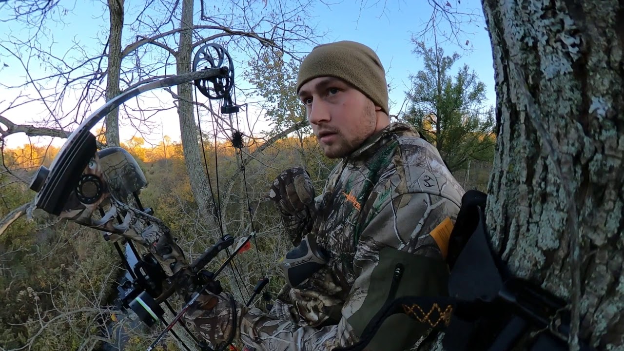 Michigan Public Land Tank (Michigan Bowhunting) - YouTube