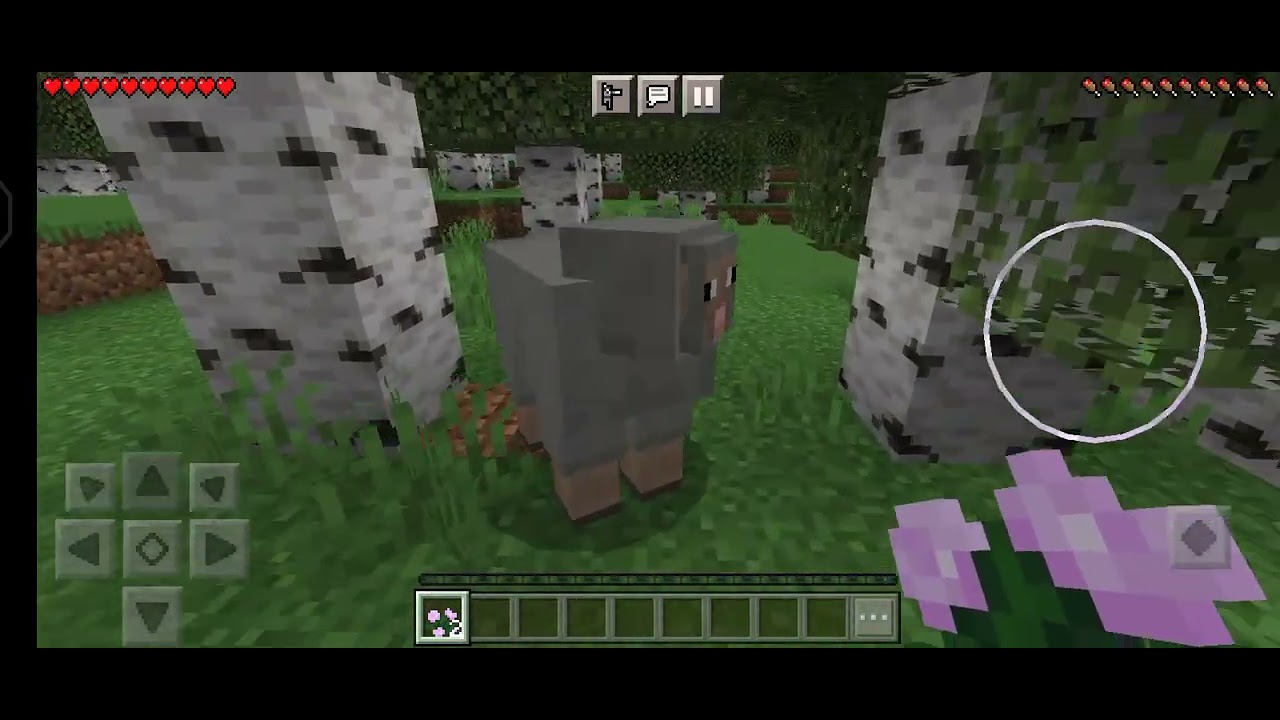 Minecraft normal gameplay #minecraft - YouTube