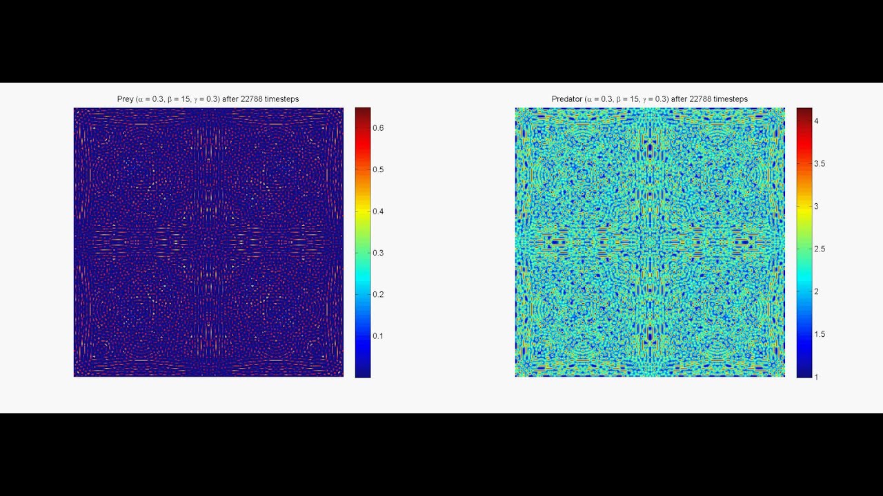 Rosenzweig - Mac-Arthur Model - Lattice - 2D - Neumann Boundary ...