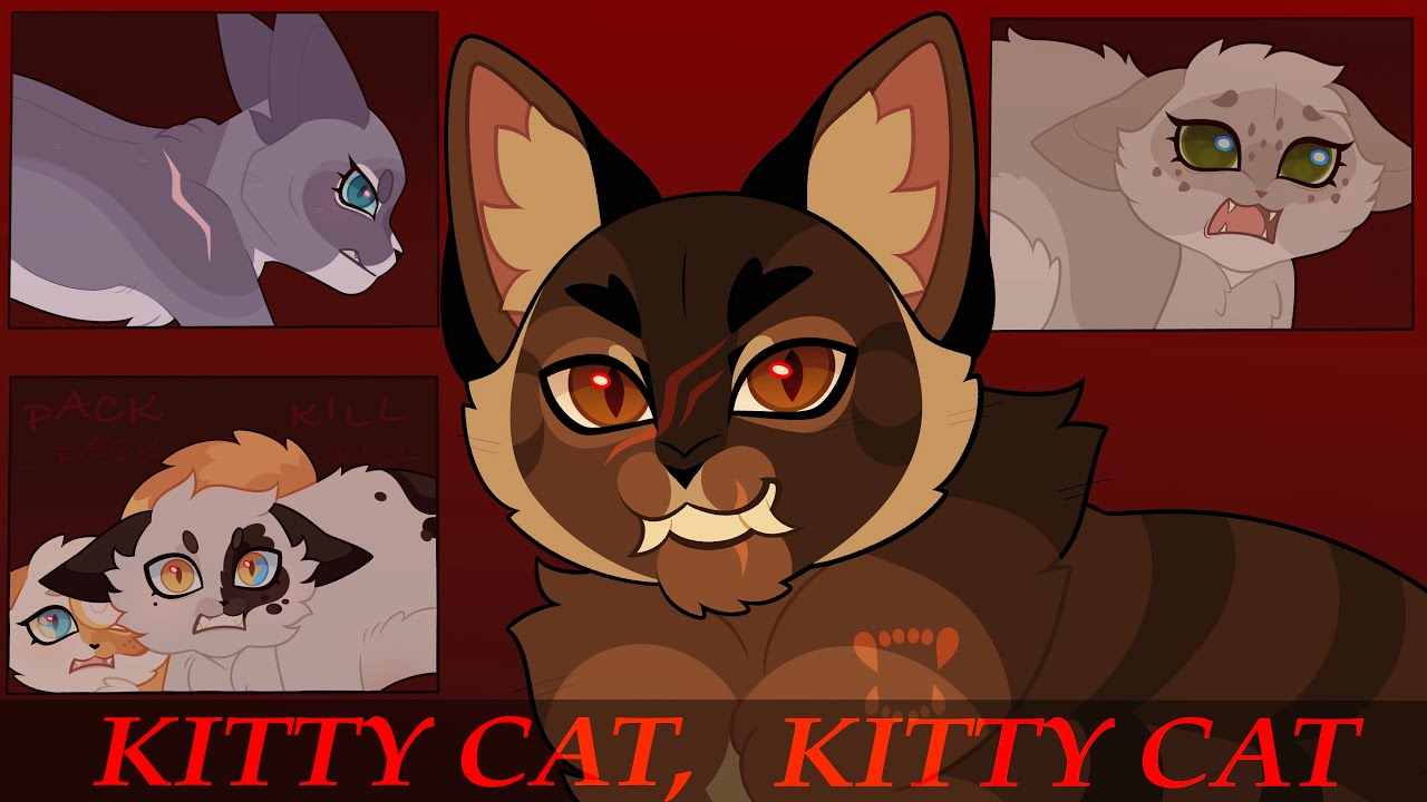 KITTY CAT, KITTY CAT, RUN RUN RUN // Tigerstar - YouTube