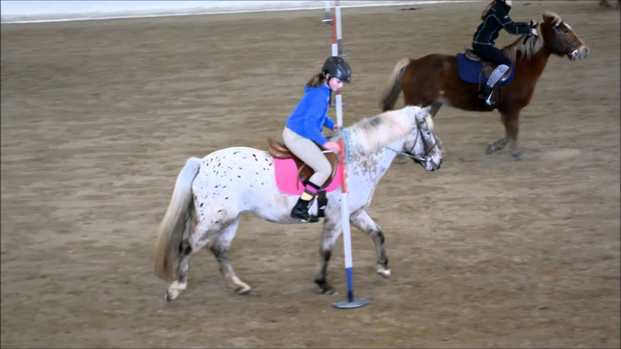 Mounted Games-Snowball Series-February Snowball-Novice Pairs-Saturday ...