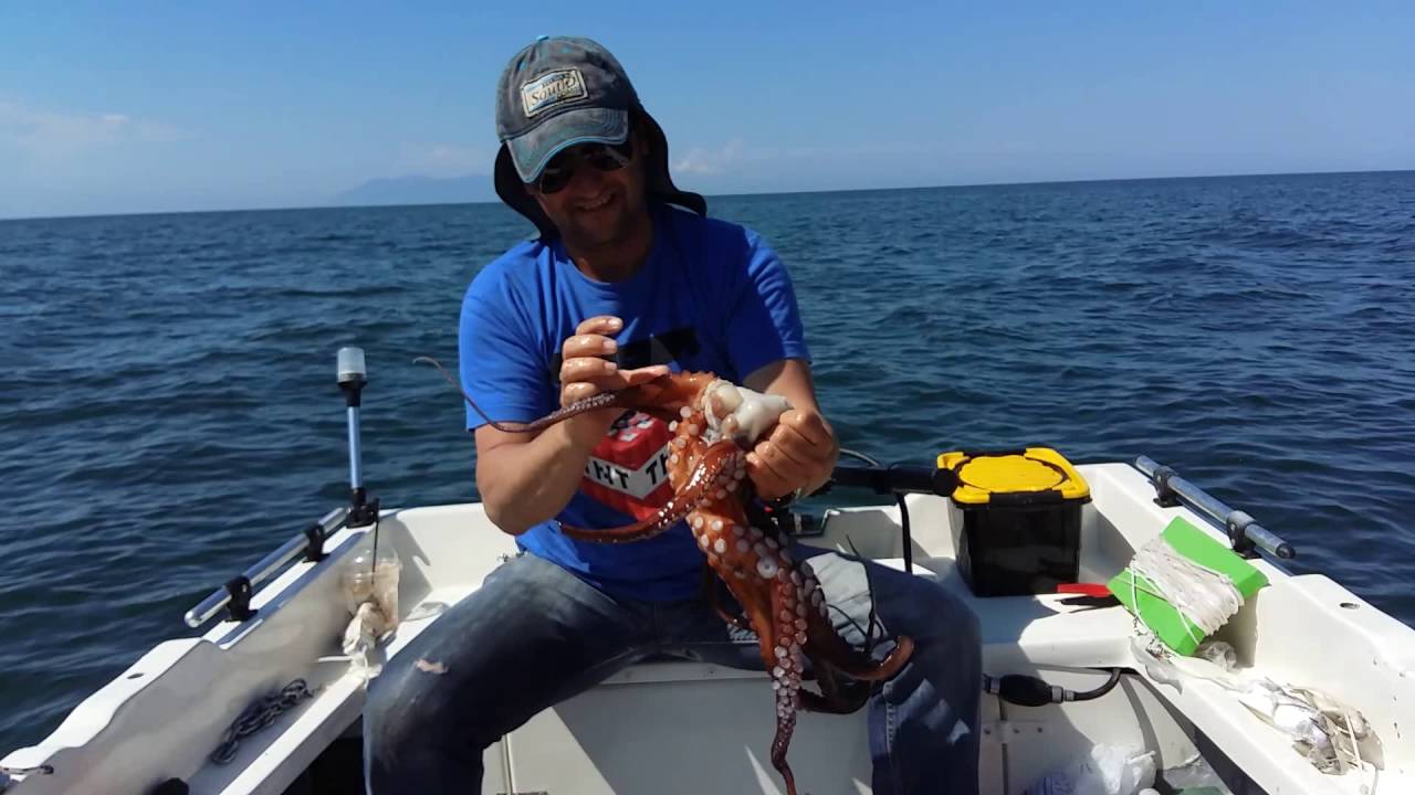 Καθαρισμα χταποδιου - cleaning octopus 🐙 - YouTube