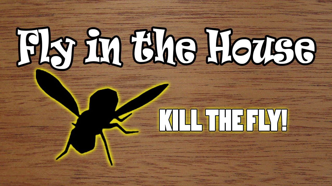 KILL THE FLY! - Fly in the House Gameplay - YouTube