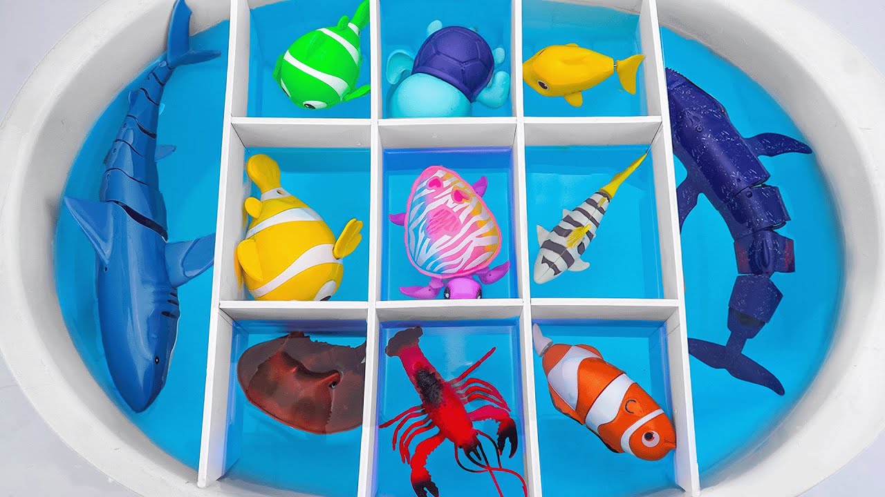 Satisfying Unboxing Zuru Robo Alive Aquarium & Robo Fishing Tank & RC ...