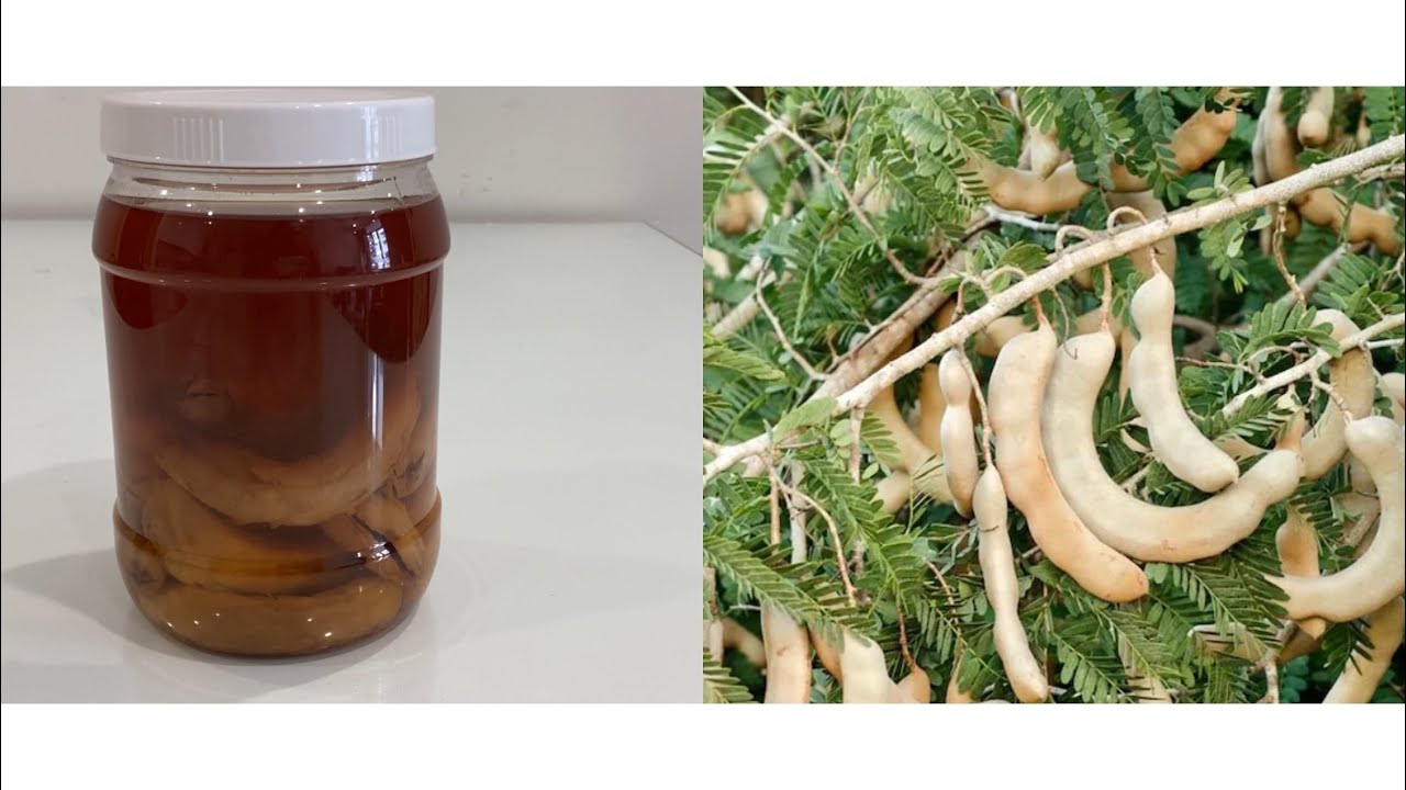 Rượu me ngâm ( đã được 3 tháng ) / Tamarind with alcohol ( 3 months ...