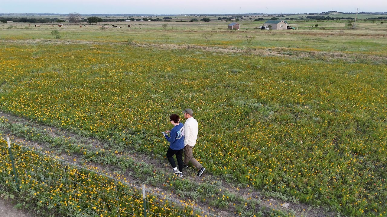 Walking in fields of gold - YouTube