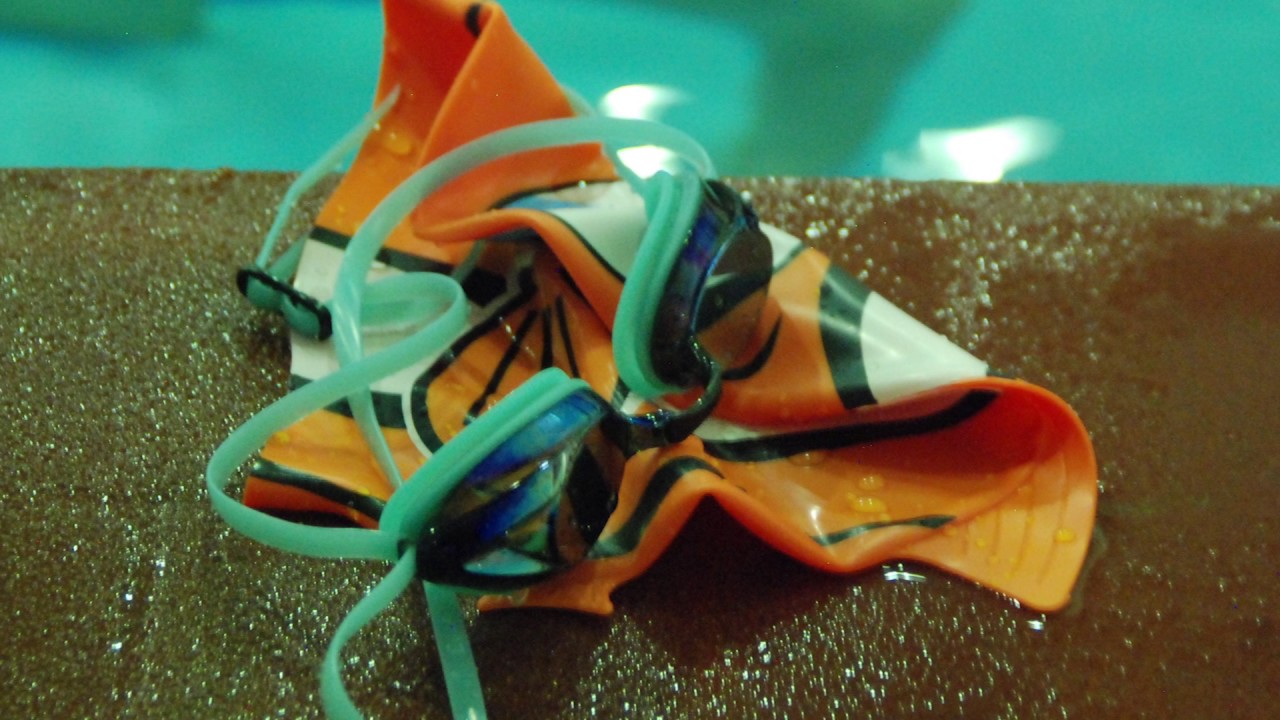 Elon Swim Club - YouTube