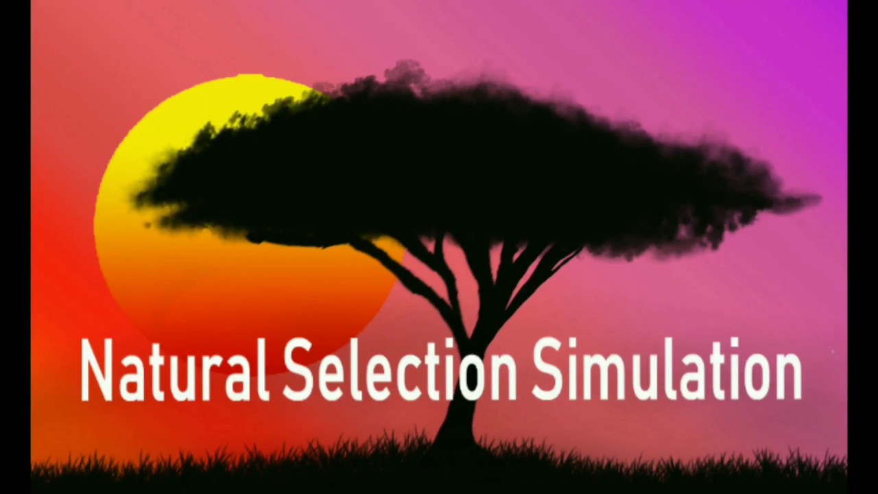 Natural Selection Simulation App - YouTube