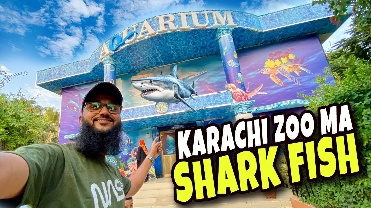 Karachi zoo ma Shark fish 😱 karachi zoo aquarium (Fahad Bhai Official ...
