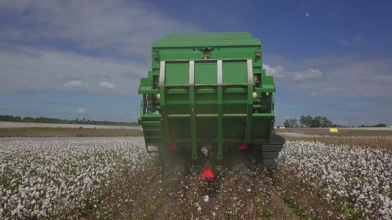 Cotton Fields Back Home - YouTube