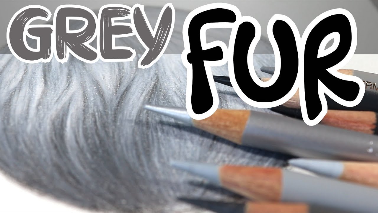 How to Draw GREY Fur in Coloured Pencils - YouTube