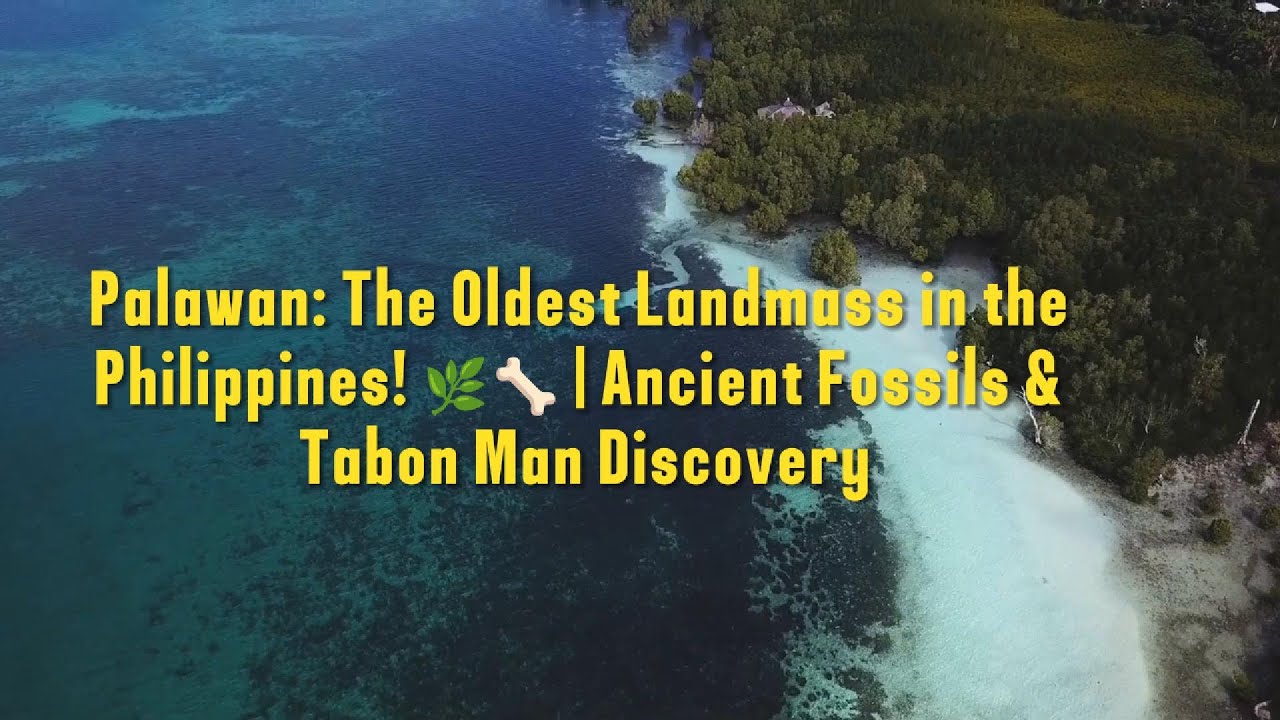 Palawan: The Oldest Landmass in the Philippines! 🌿🦴 | Ancient Fossils ...